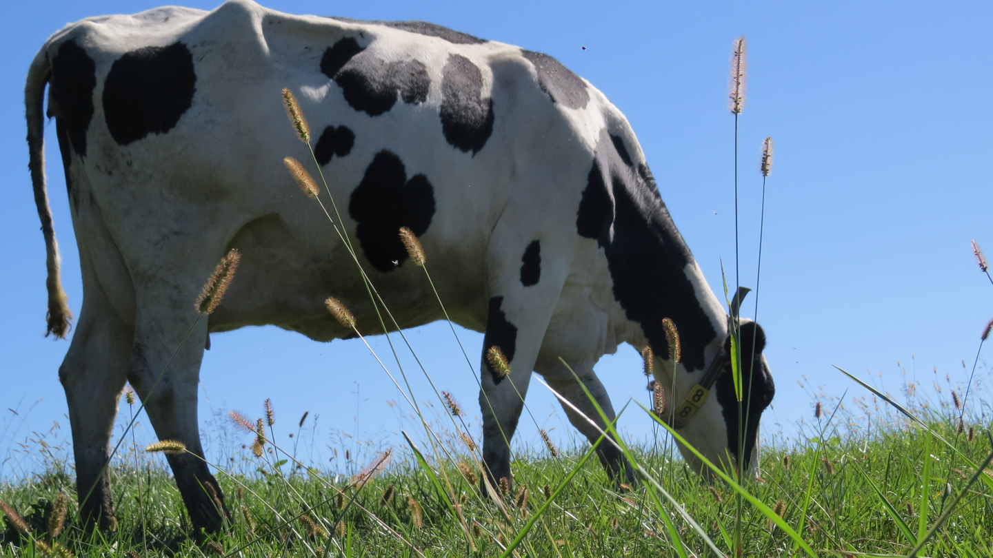 CRISPR Technology Needs Smart Oversight, Not Heavy Regulation