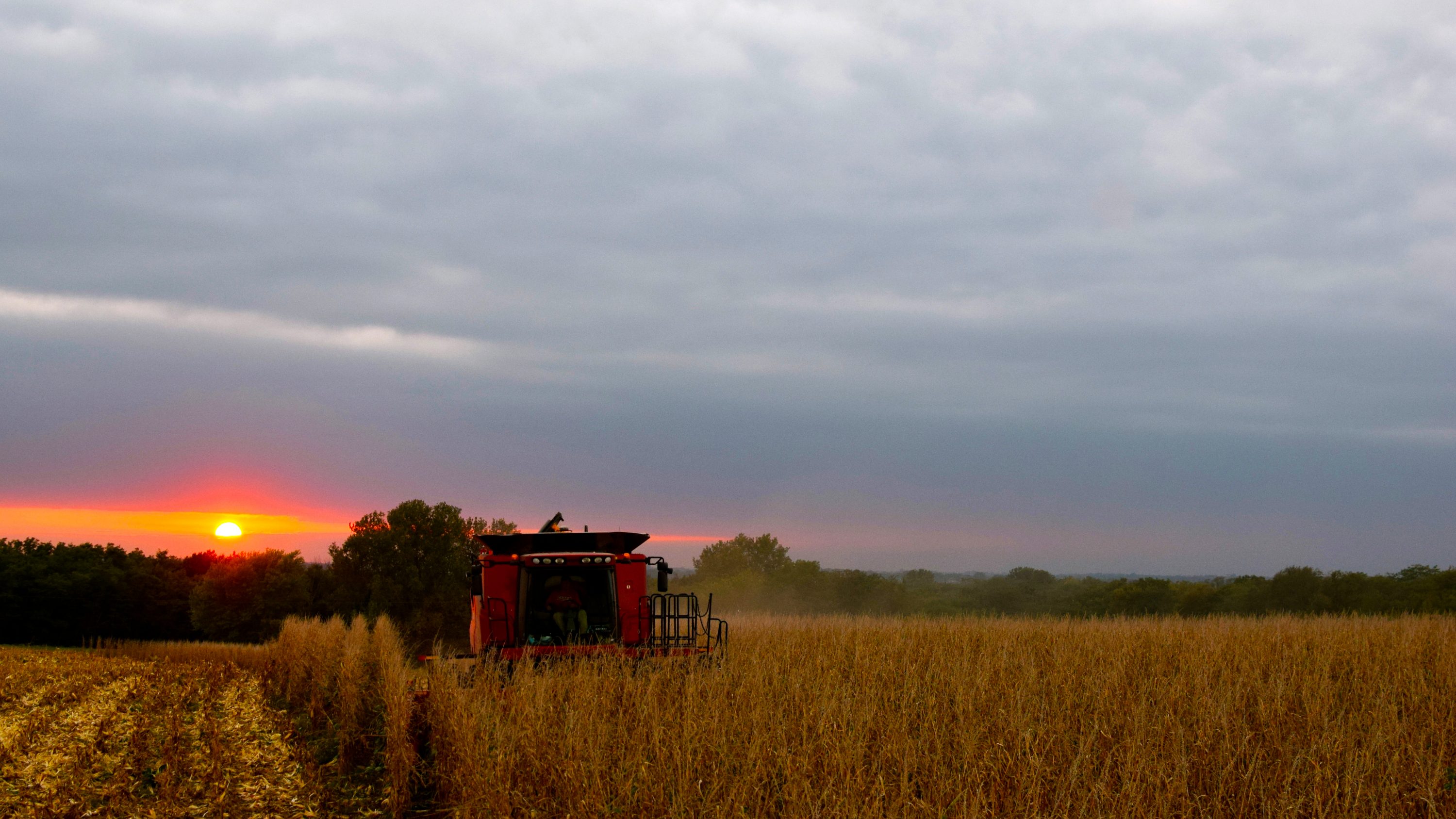 Missouri Farm Bureau COVID-19 Update: Row Crops