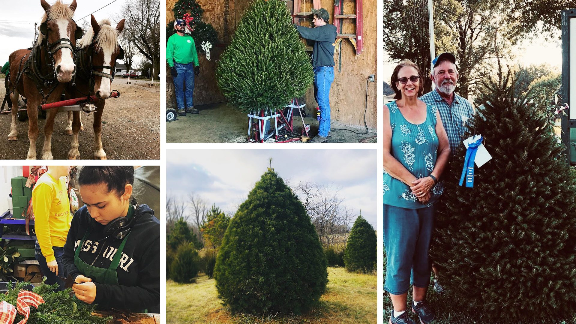 Instagram Takeover with the Meier Family